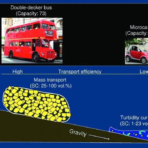 Comparison Of Human Transport On Land With Gravity Driven Sediment Download Scientific Diagram