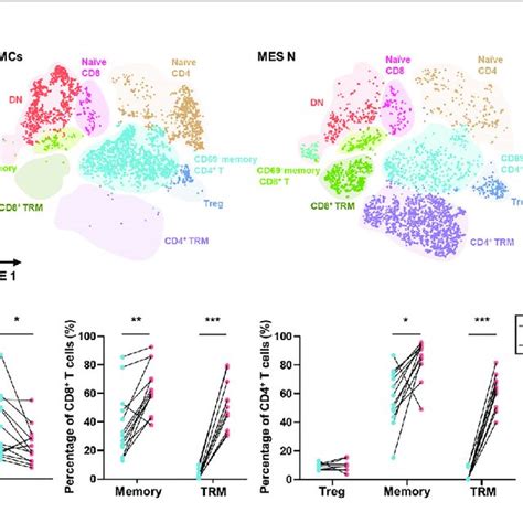 T Sne Plot And Percentages Of T Cells In The Mes N And Mes T A