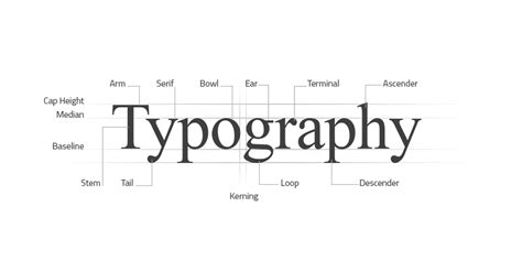Importance Of Typography In Graphic Design - Elements Of Typography in ...