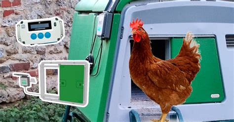 Porte Automatique De Poulailler Vos Poules En Sécurité