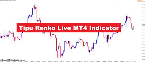 Tipu Renko Live MT Indicator ForexMT Indicators Com