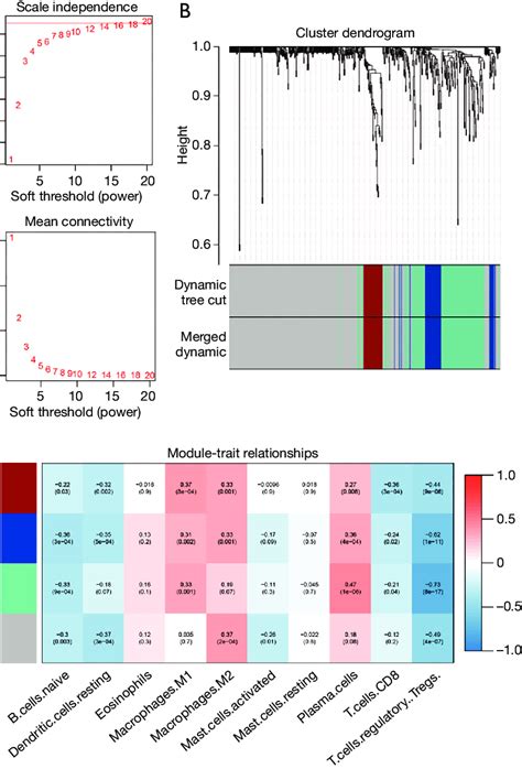 Weighted Correlation Network Analysis Wgcna Co Expression