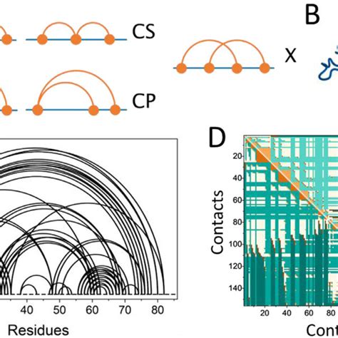 Human Proteome Mapped To A Circuit Topology Space A Different Download Scientific Diagram