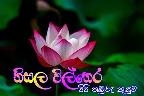 Dedunna සංඝයා වහන්සේ වඳින ගාථාව අර්ථය දැනගෙන ගාථා කියමු සිල්වත්වූ ගුණවත්වූ අනුත්තර පින්