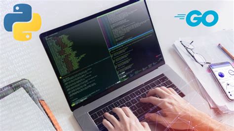 Python Vs Go Golang Choosing The Right Language For Your Project