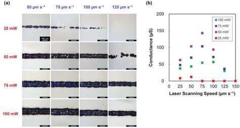 A Digital Microscope Images And B Conductances Of The Structures