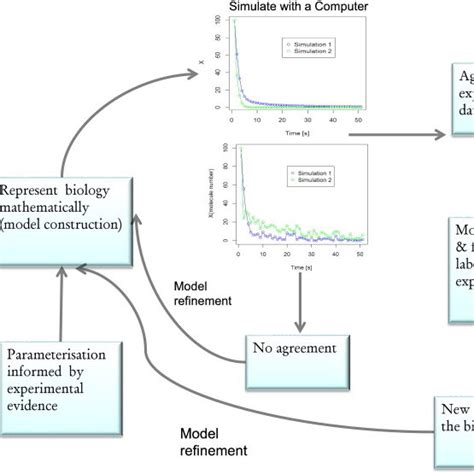 The Generic Steps Involved In Constructing A Computational Systems Download Scientific Diagram