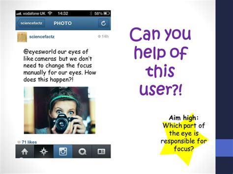 New Gcse Aqa B10 The Human Nervous System Teaching Resources