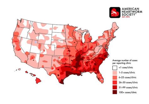 The State Of Heartworm Incidence In The Us Todays Veterinary Practice