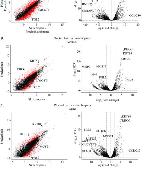 Scatter Plots Showing The Log2 Average Expression Left And Volcano