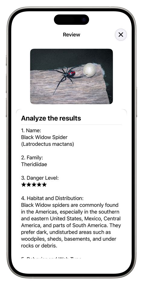 Spider Identifier App Identify Spiders With Ai