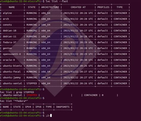 How To Install Lxd On Ubuntu 2204 Lts Using Aptsnap Nixcraft