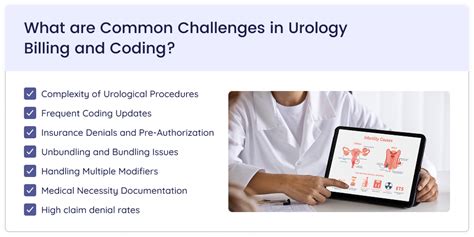 cpt codes in urology essential guide for accurate billing