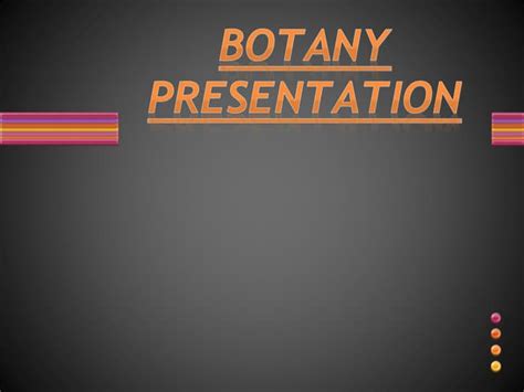 Anatomy Of Dicot And Monocot Leavespptx