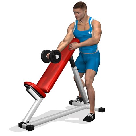 Bicep Curls On Bench Best Wallpaper Brandt