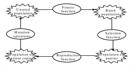 general procedure for all evolutionary computations [9] download