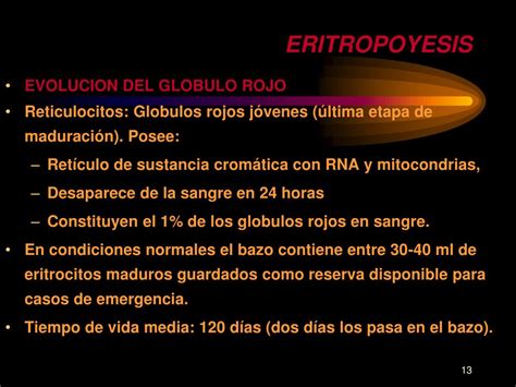 Ppt Material DiseÑado Por La Dra María Rivera Ch Powerpoint Presentation Id 799367