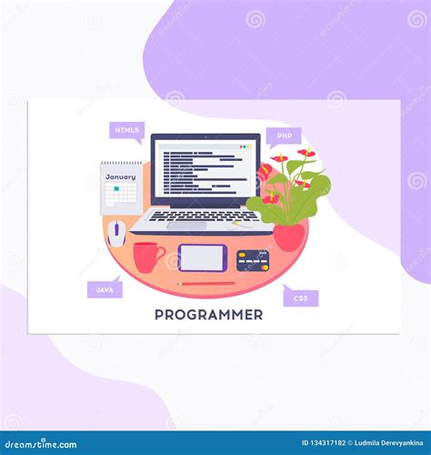 Lugar De Trabajo Del Programador O Del Codificador Ejemplo Del Vector Programador Que Cifra Un
