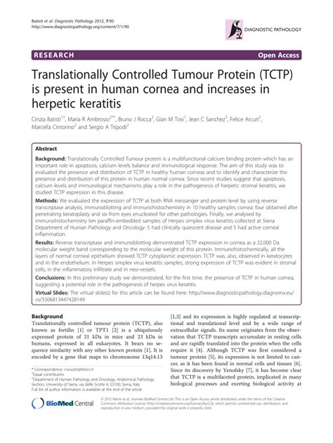 Pdf Translationally Controlled Tumour Protein Tctp Is Present In Human Cornea And Increases