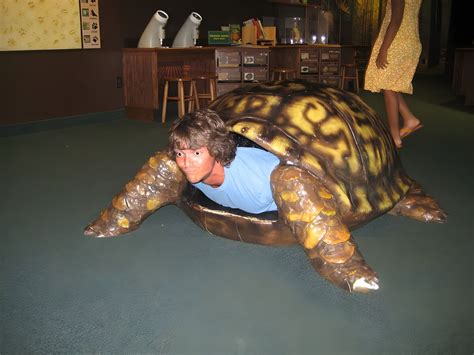 Teenage Mutant Fail Turtle Cursed Images Inspiration Wiki Fandom