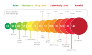 Daily Dose Of Decibels How Much Noise Is Too Much Pittwater Hearing