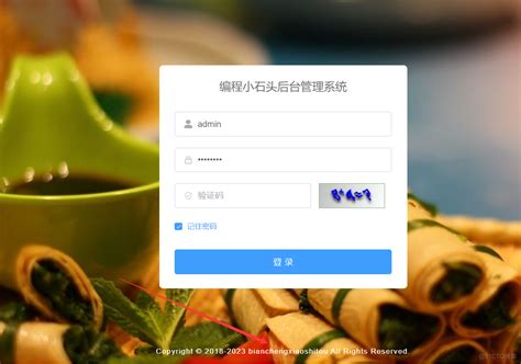 【若依java】15分钟玩转若依二次开发，新手小白半小时实现前后端分离项目，springbootvue3element Plusvite实现java项目和管理后台网站功能编程小石头的