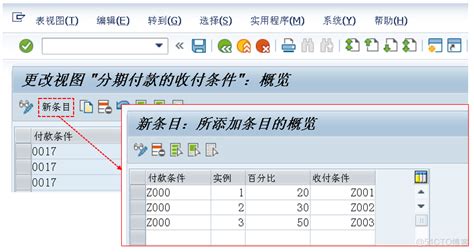 sap软件分期付款条件的配置及应用介绍 sap liumeng 的技术博客 51cto博客