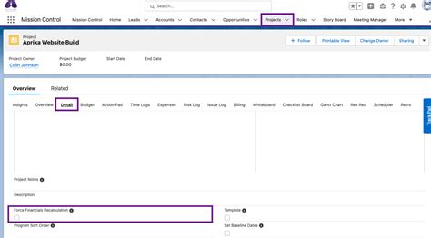 Can I Force A Recalculation Of A Projects Financials