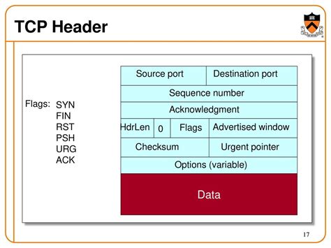 Process To Process Delivery Ppt Download