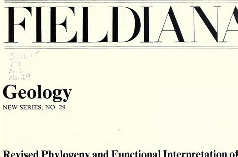 Figure 2 Revised Phylogeny And Functional Interpretation