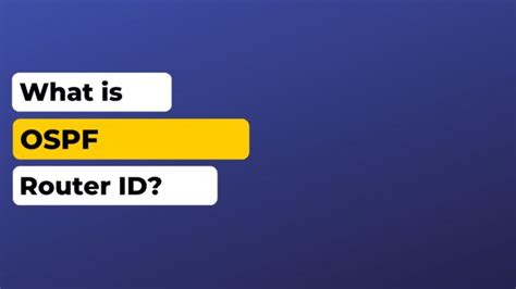 Ospf Router Id Format Selection Process Purpose And More