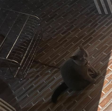 Pin by Minh Ngọc on Cute desktop wallpaper Cute desktop wallpaper Desktop wallpaper Wallpaper