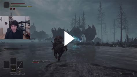 Toast Gets Baited By A Bug Rlivestreamfail