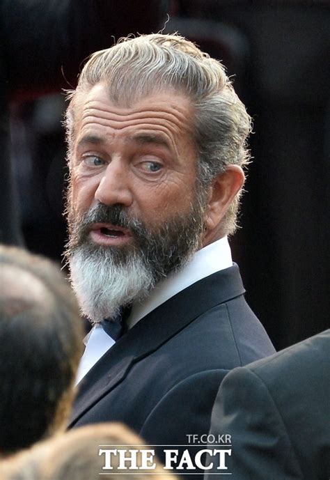 멜 깁슨 女기자 폭행 구설수개처럼 다뤄 연예 기사 더팩트