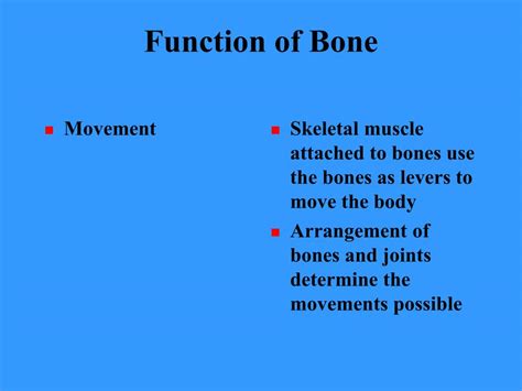PPT BONES AND BONE TISSUES PowerPoint Presentation Free Download ID