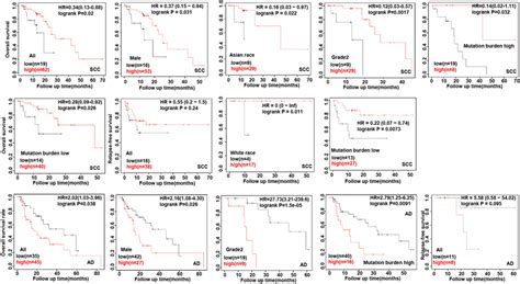 The Prognostic Significance Of Gpr176 Mrna Expression In Oesophageal Download Scientific