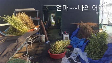 엄마~~사랑하는 나의 어머니♡♡♡♡ Youtube