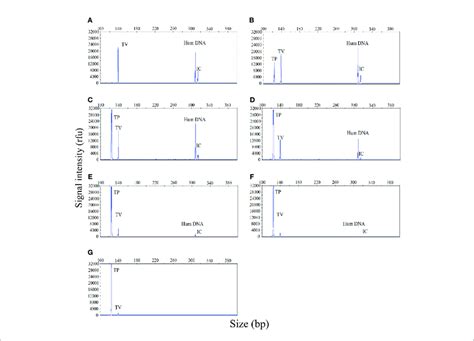 The Sexually Transmitted Infection High Throughput Multiplex Gene