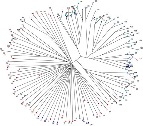 Hc Tree For The Set Of 133 Viruses Using The Ncd And Zlib Based On The