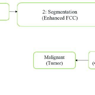 Proposed System Workflow Download Scientific Diagram