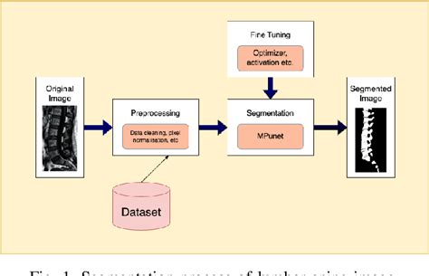 Figure 1 From Auto Segmentation Of Lumbar Vertebrae Using Multiplanar Unet Semantic Scholar