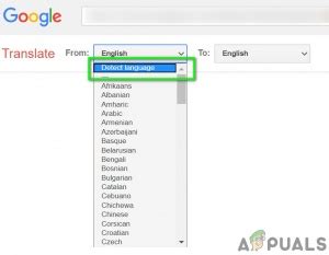 Fix Google Translate Not Working Appuals