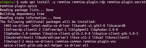 How To Install And Use Remmina On Ubuntu
