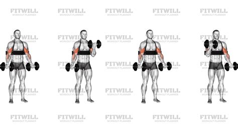 Curl De Bíceps Alterno Con Mancuernas Con Soporte Para Brazos Guía