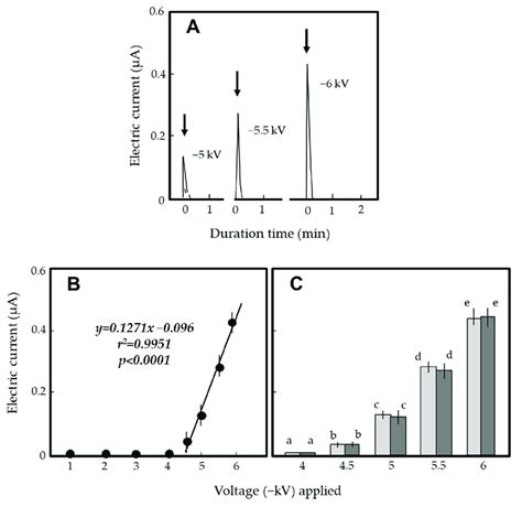 A Profiles Of Transient Electric Currents From Discharges Of Adult Download Scientific