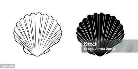 바다 껍질 가리비 삽화 세트 조개 껍질 윤곽선 및 실루엣 아이콘 가리비에 대한 스톡 벡터 아트 및 기타 이미지 가리비 드로잉 바다 Istock