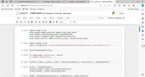 completed task 1 credit scoring model at codealpha pranjal ravikant