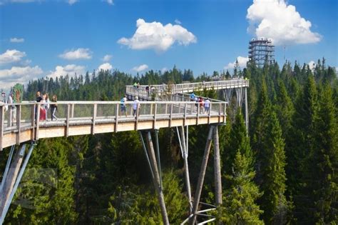 Trail Through The Treetops Bachledka Northeast Of Slovakia Region Of Uniques