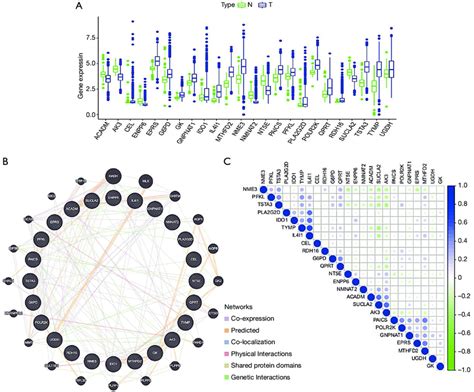 The Expression Interaction And Correlation Among Genes In The