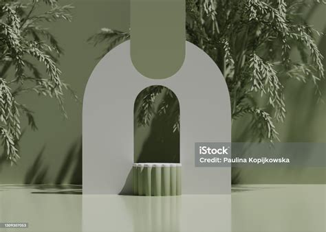 3d 포디움 디스플레이 파스텔 녹색 배경 나무가 있는 기하학적 모양입니다 자연 그림자 최소한의 뷰티 제품 프리젠 테이션 받침대 광고에 대한 흰색 스튜디오 추상 3d 렌더링